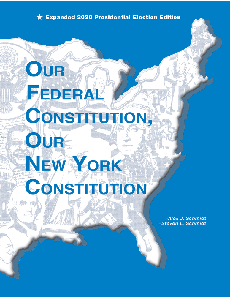 New York constitution study guide, NY constitution high school, NY ...